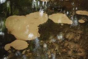 Sand boils - Asian Itinerary