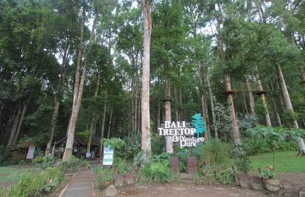 Fly high at Bali Treetop - Asian Itinerary