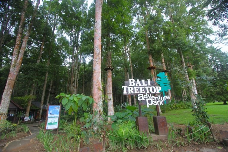 Bali Treetop Adventure Park - Asian Itinerary
