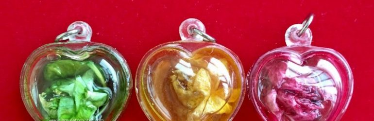 Dok Rak - the Crown Flower - Asian Itinerary