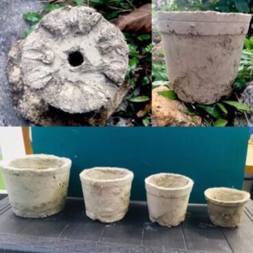 Elephant Dung: the Material of the Future - Asian Itinerary