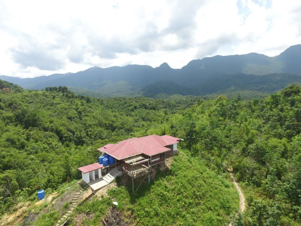 Bengoh Dam - Borneo’s Jurassic Park - Asian Itinerary