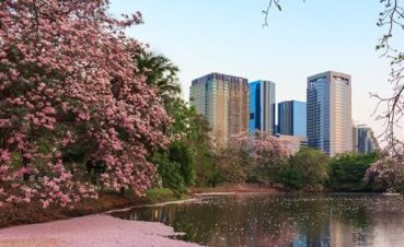 5 destinations where to see cherry blossoms - Asian Itinerary