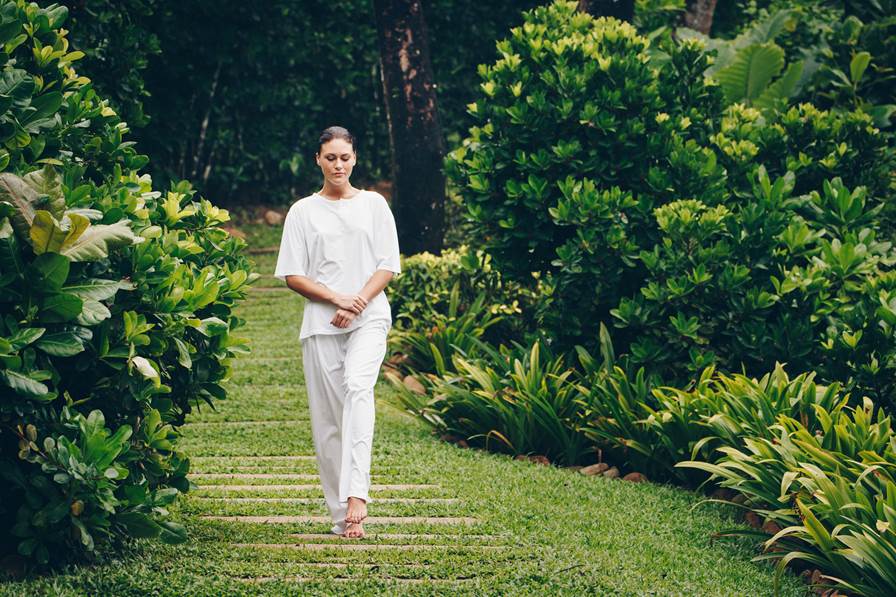 Tri Vananda Partners With CBRE For the Development of Wellness Resort