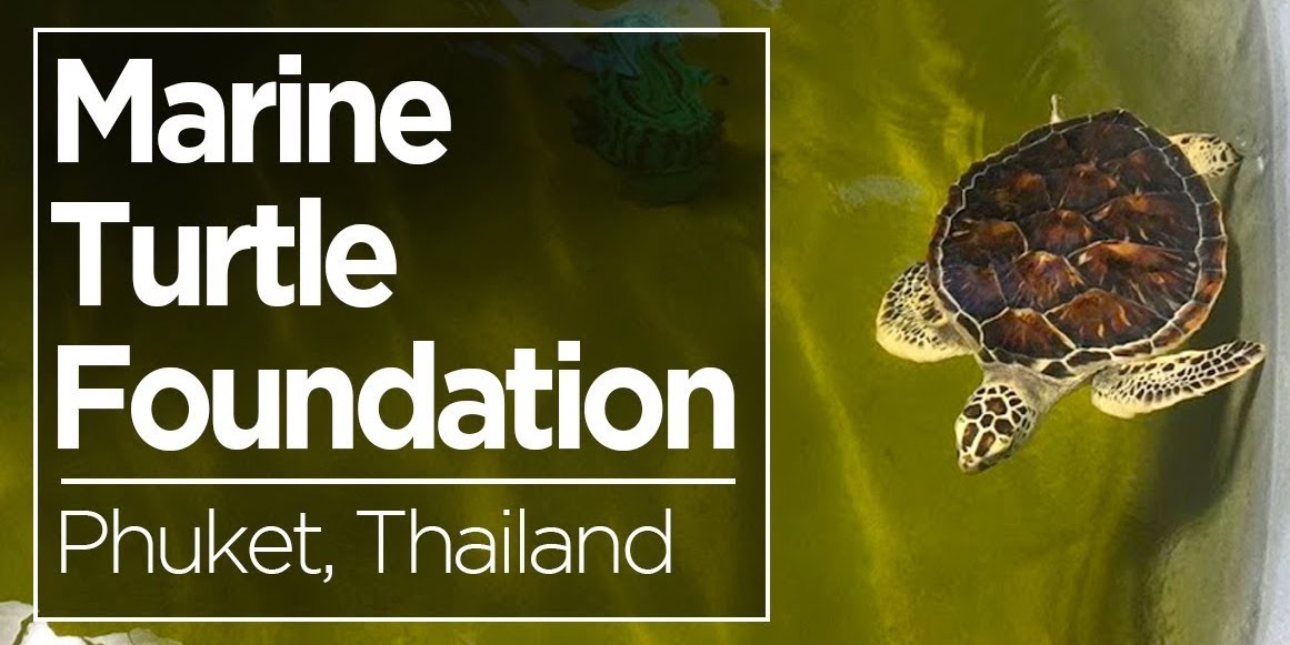 The Mai Khao Marine Turtle Foundation - Asian Itinerary
