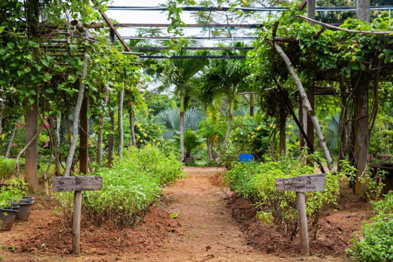 Trisara Showcases Sustainable Dining - Asian Itinerary