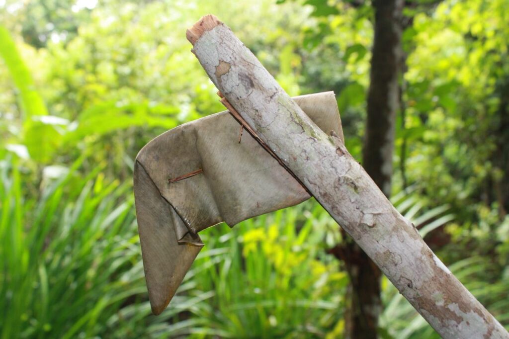 Preserving Oroo' Jungle Sign Language in the Digital Era - Asian Itinerary