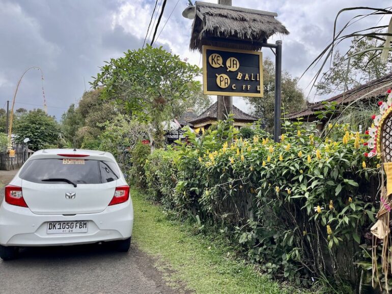 Leonardo along the Way to Gobleg, Bali - Asian Itinerary
